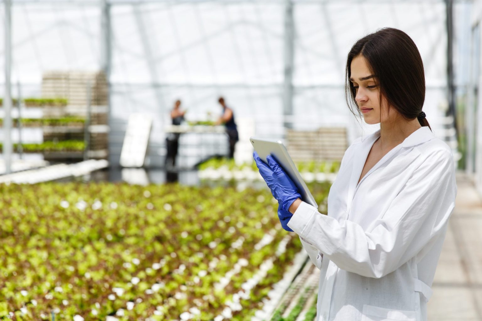 RFID Technology for Greenhouse Plant Nurseries - Meshtrac